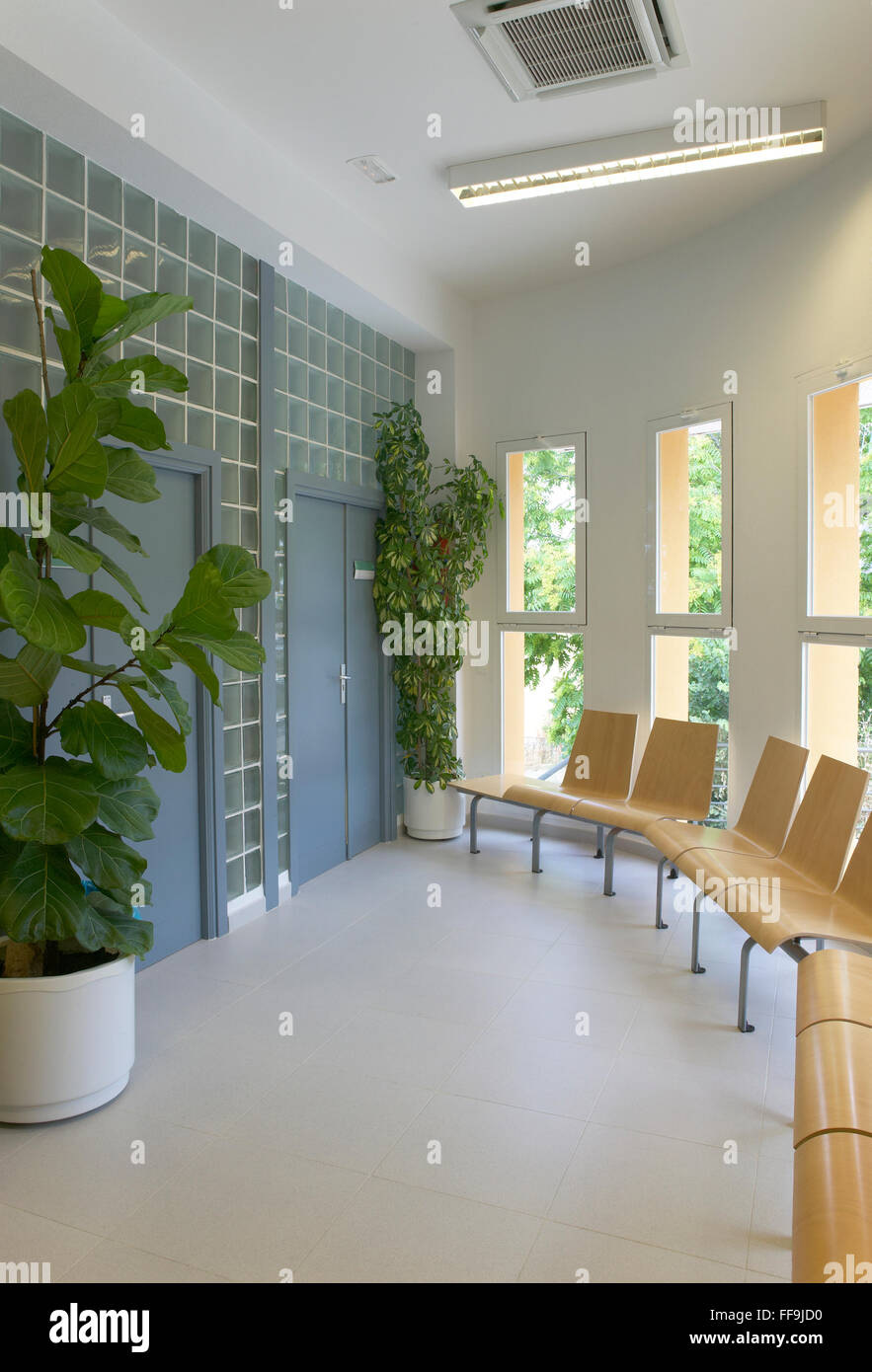 Modern building interior with plants and windows. Vertical Stock Photo ...