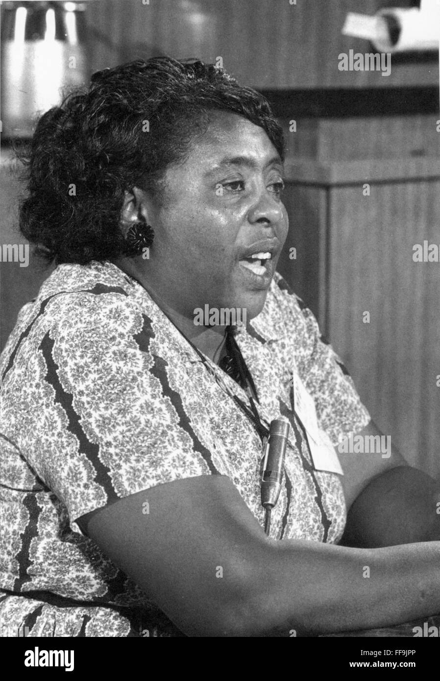 Fannie Lou Hamer 1917 1977 Namerican Civil Rights Activist Speaking As A Member Of The