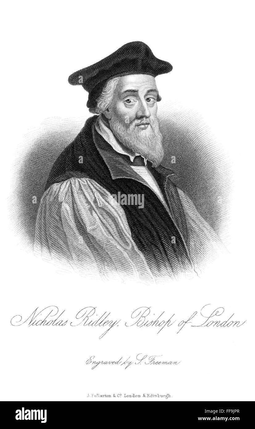 NICHOLAS RIDLEY (1500-1555). /nEnglish religious reformer and ...