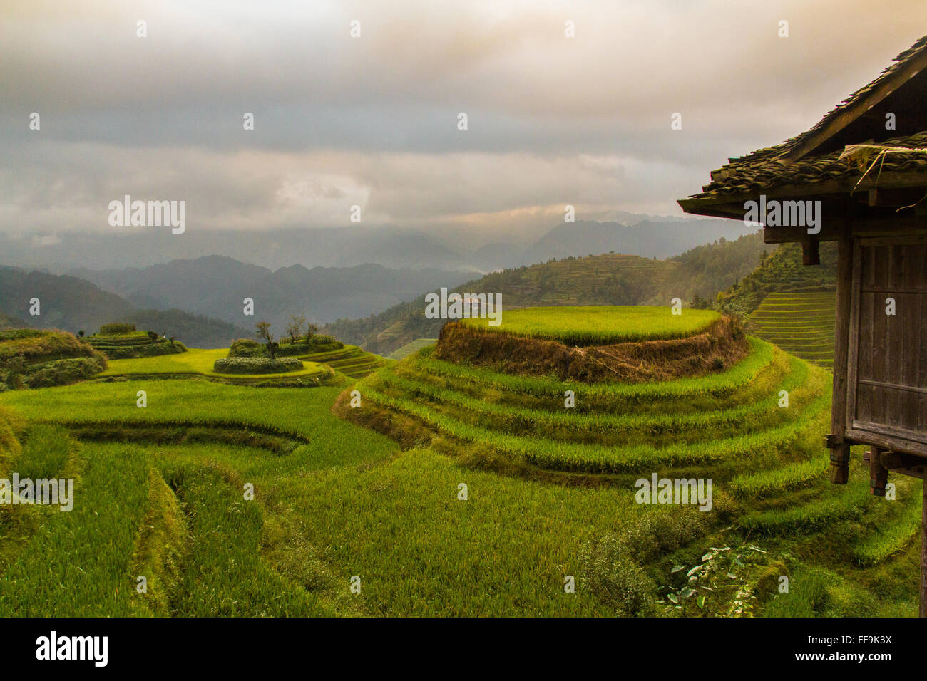Dragon Backbone Rice Terraces. Guilin. China Stock Photo - Alamy