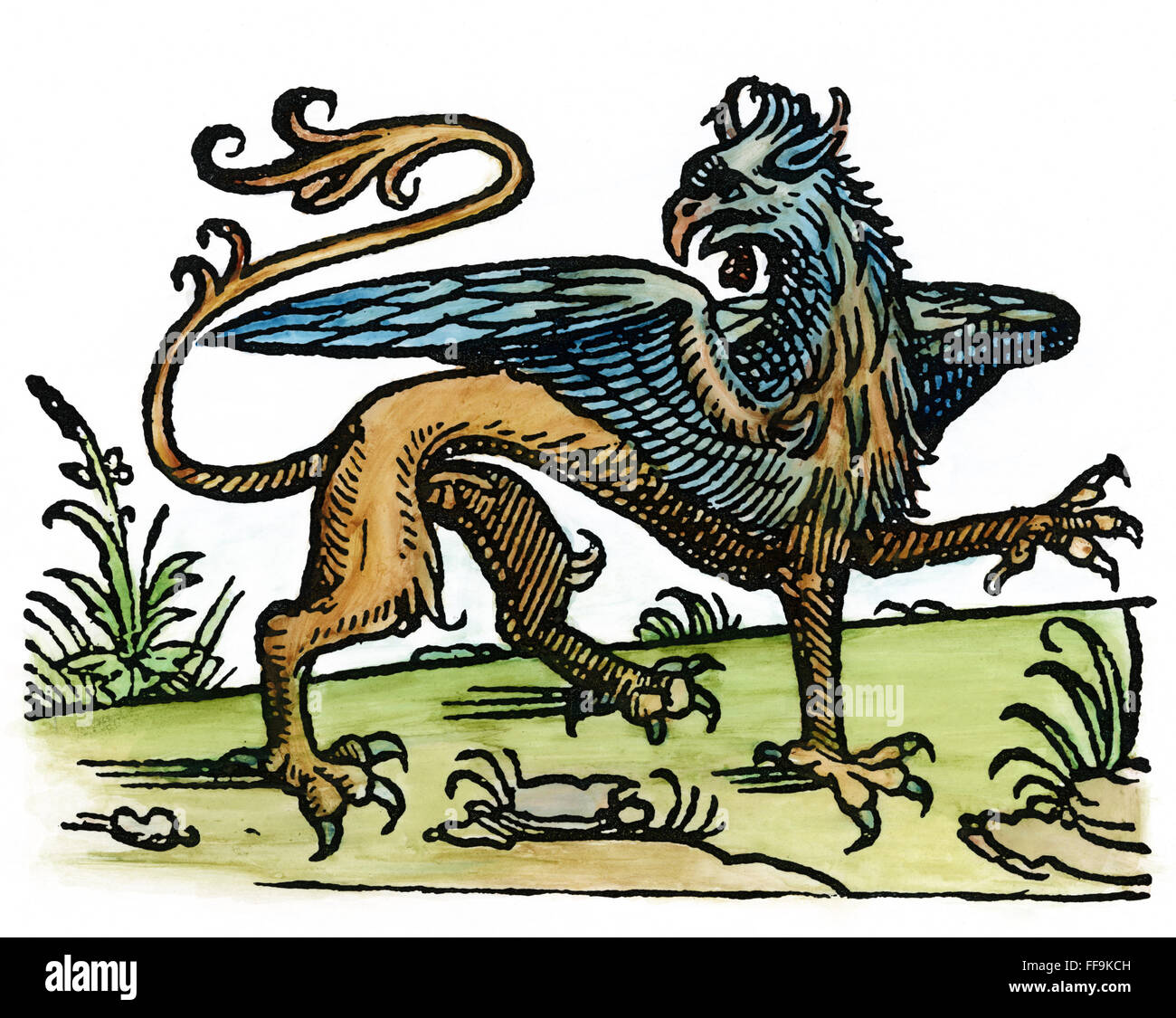 GRIFFIN, 1533. /nWoodcut, 1533, from a French signet Stock Photo - Alamy