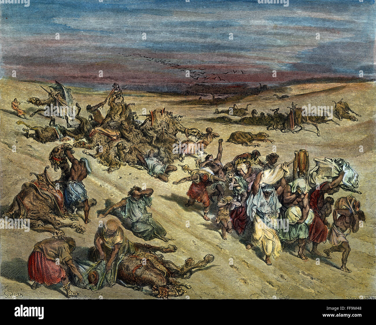 Fifth Plague Of Egy T