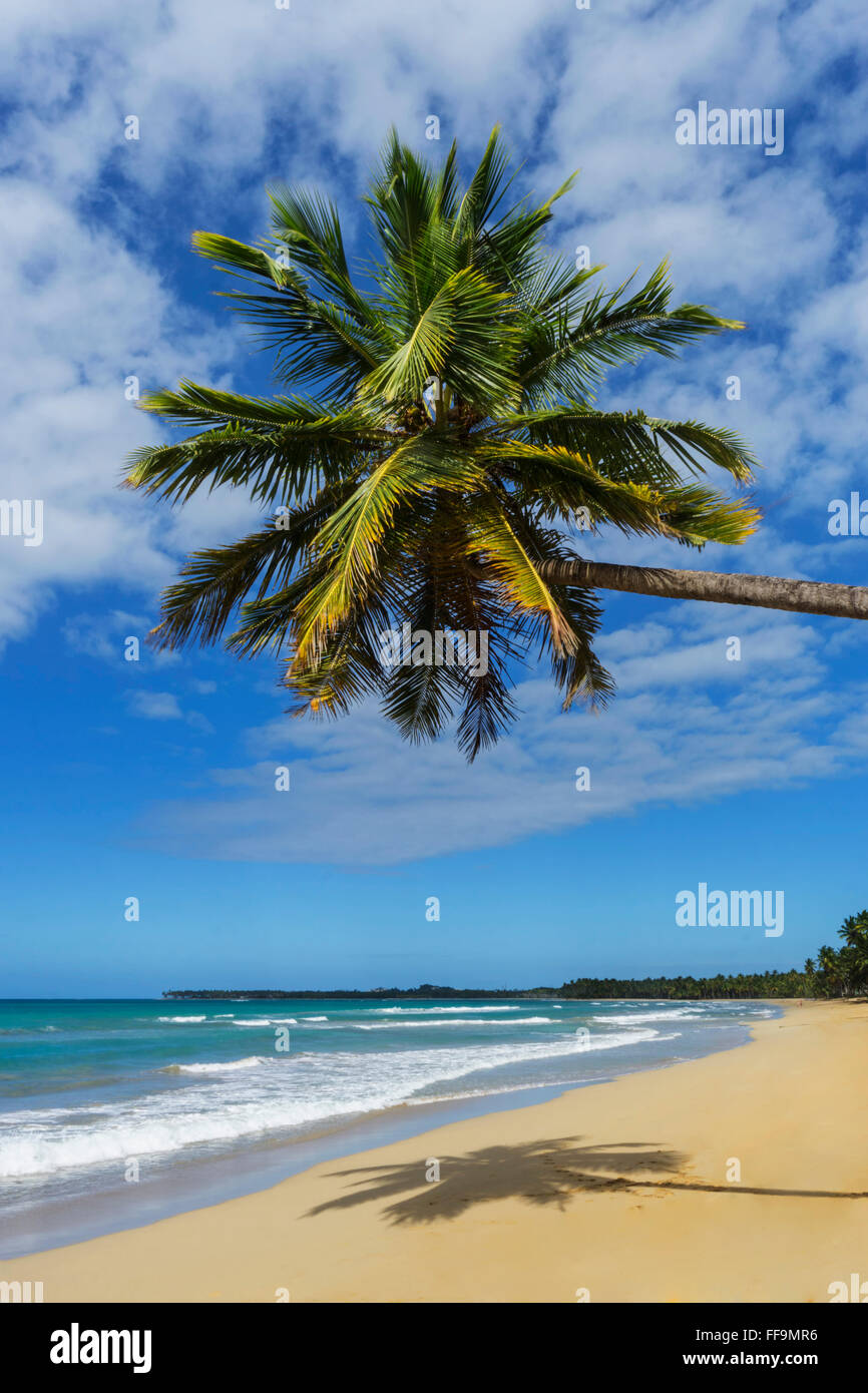 Las Terrenas, Coson Beach, Dominican Republic Stock Photo - Alamy