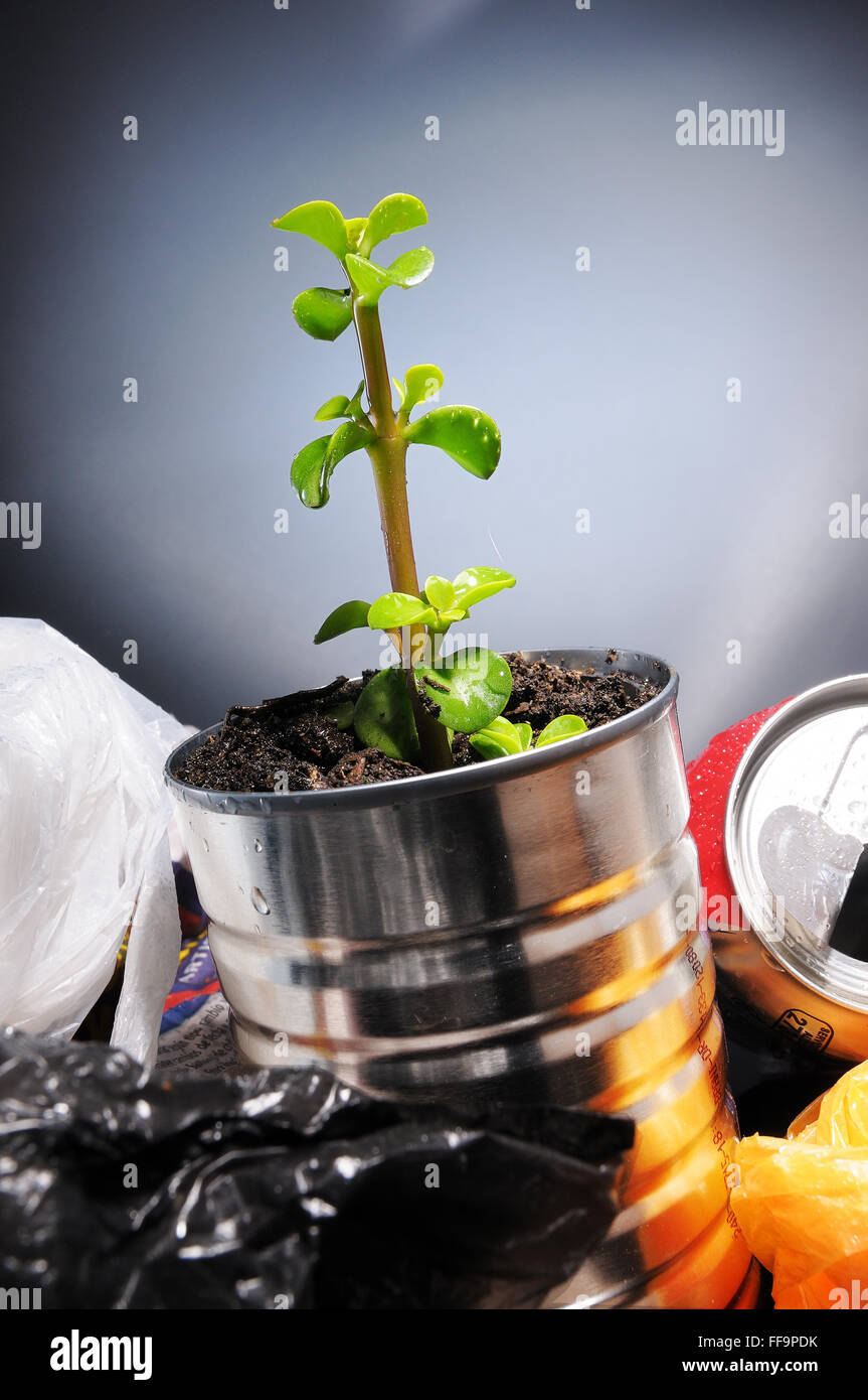 Soil garbage hi-res stock photography and images - Alamy