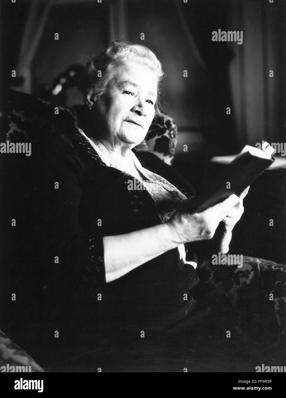 ERNESTINE SCHUMANN-HEINK /n(1861-1936). Austrian operatic contralto ...