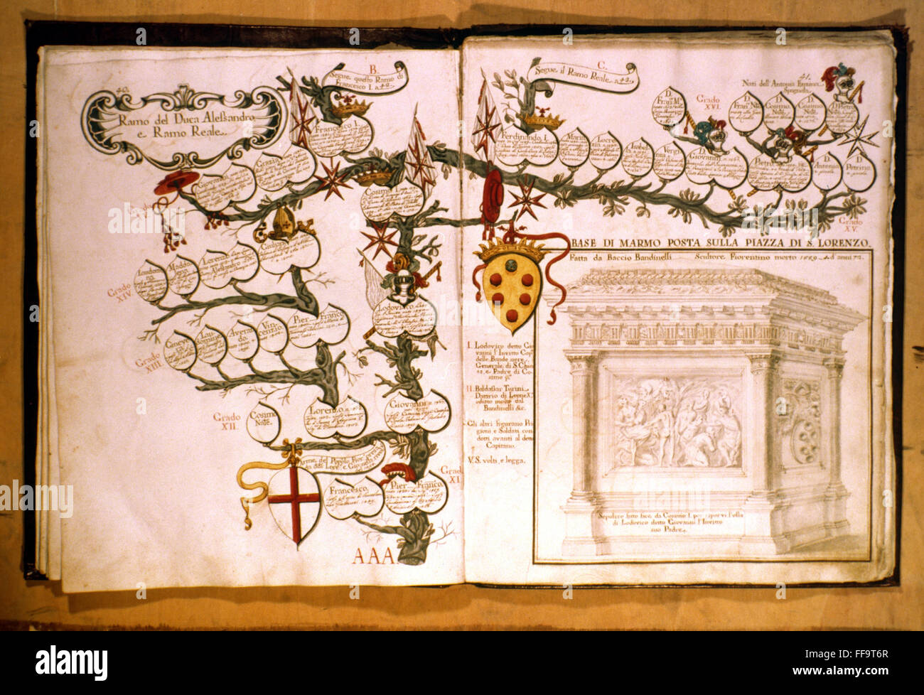 MEDICI FAMILY TREE. /nGenealogical tree of the Medici family Stock ...