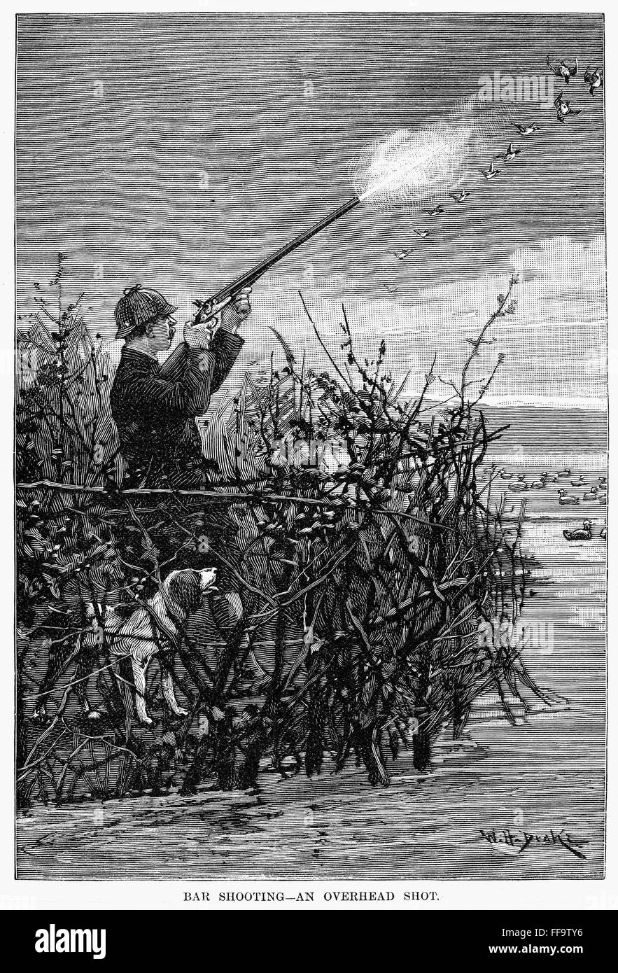 DUCK HUNTING, 1888. /nShooting canvas-back ducks on the Chesapeake Bay ...