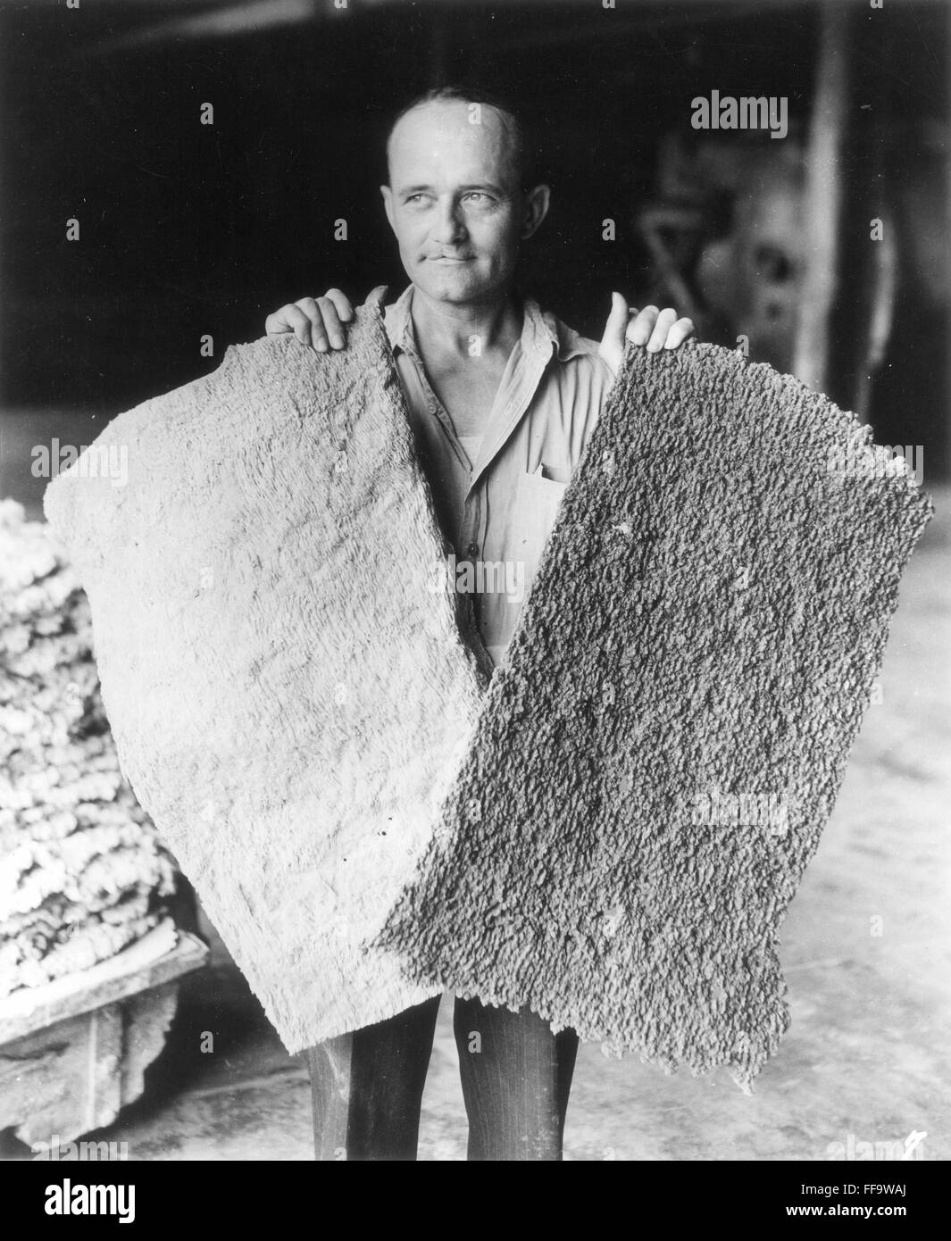 RUBBER FACTORY, 1940s. /nA worker at the B.F. Goodrich Company plant in ...