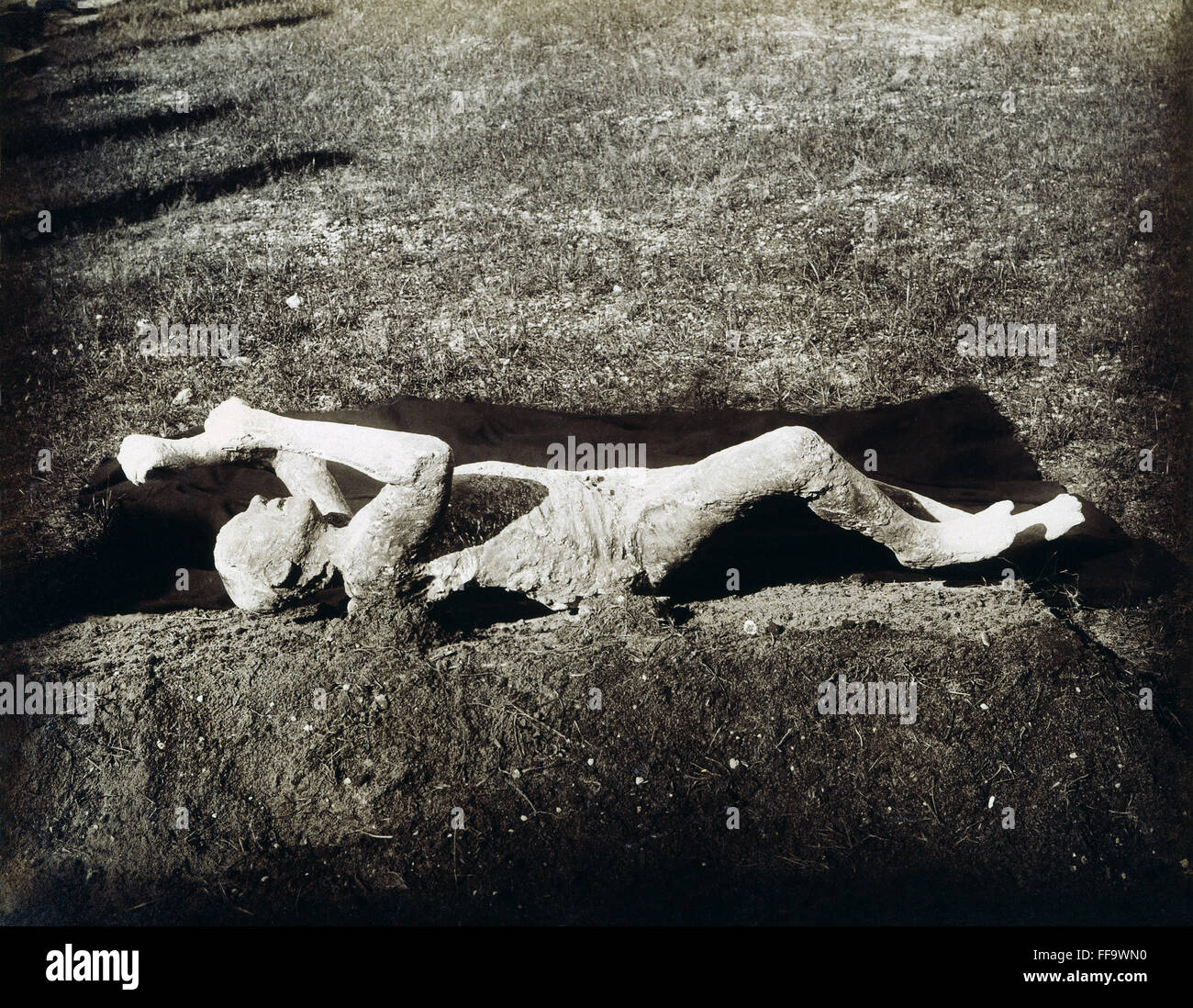 POMPEII: PLASTER CAST. /nPlaster cast of a victim of the eruption of ...