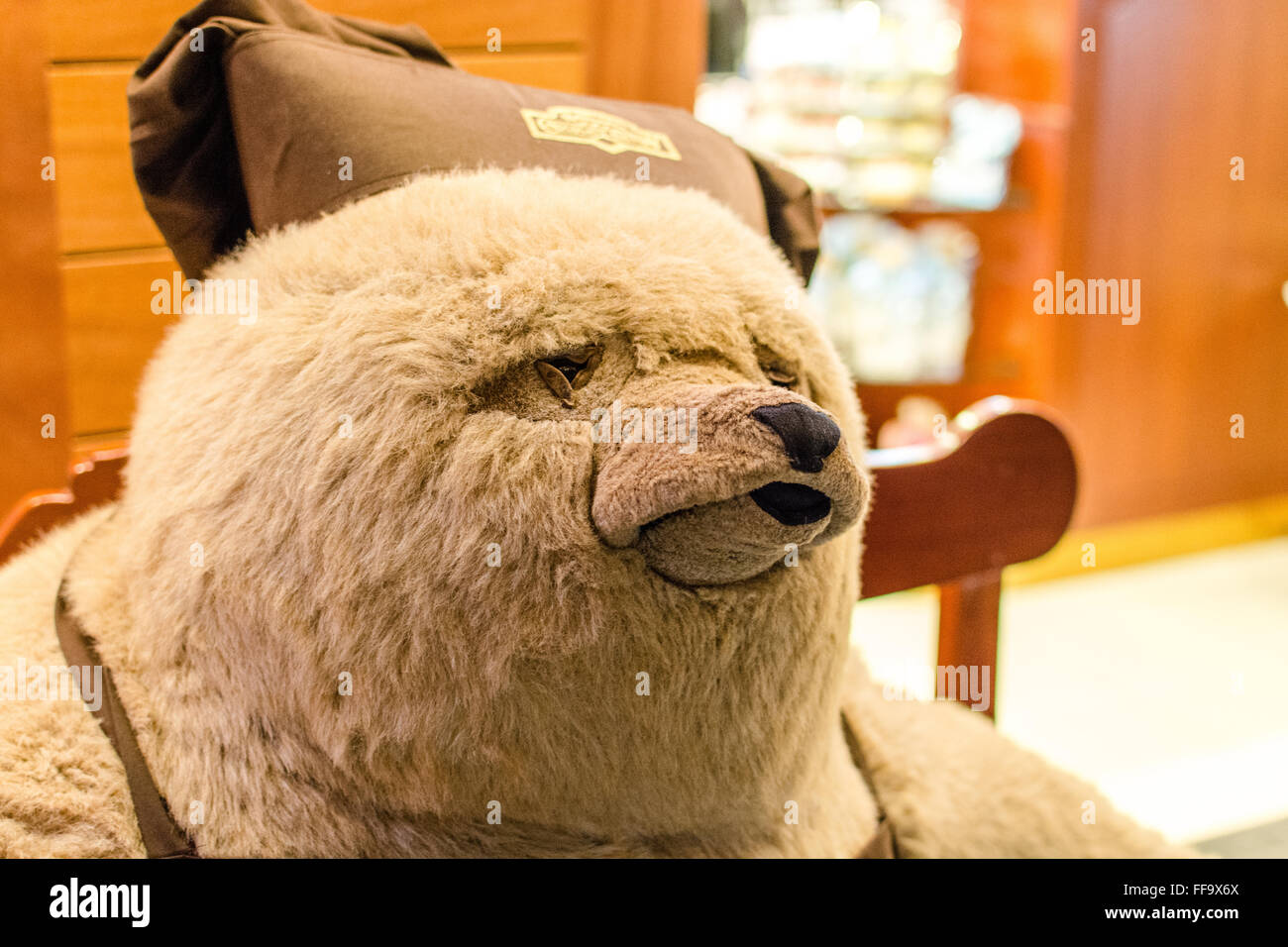Close-Up Of Giant Stuffed Toy Bear Stock Photo - Alamy