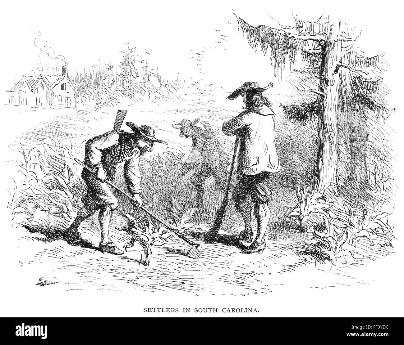 SOUTH CAROLINA COLONISTS. /nEnglish colonists farming the land in South ...