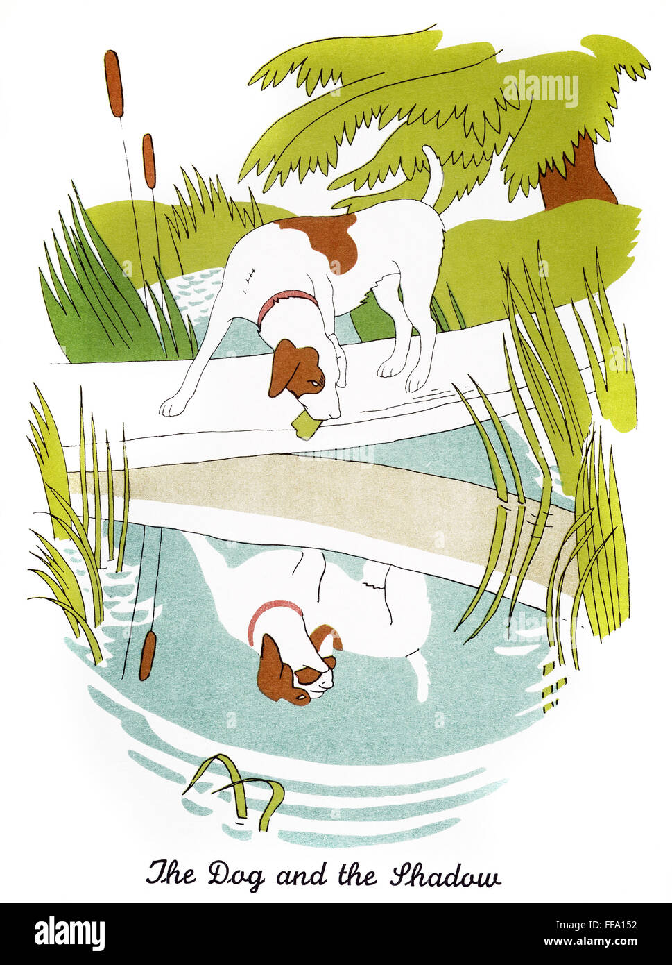 AESOP: DOG & SHADOW. /n'The Dog and the Shadow.' Drawing by Christopher ...