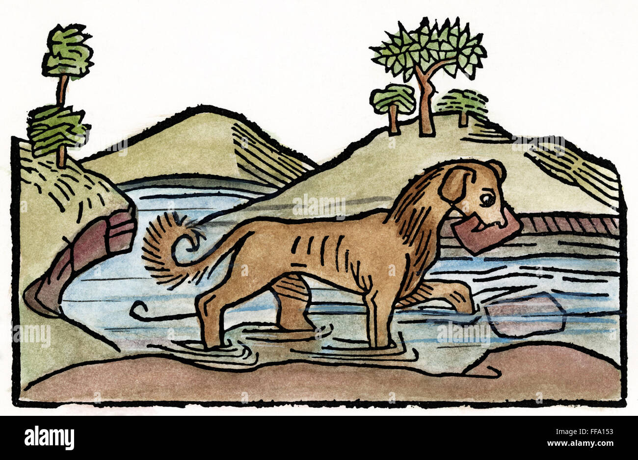 AESOP: DOG & SHADOW, 1484. /n'The Dog and his Shadow.' Woodcut from ...