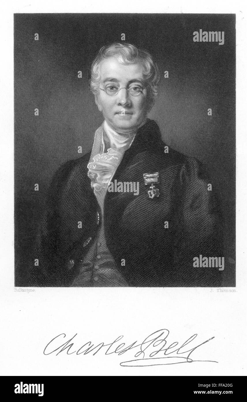 CHARLES BELL (1774-1842)./nScottish anatomist. Line and stipple ...