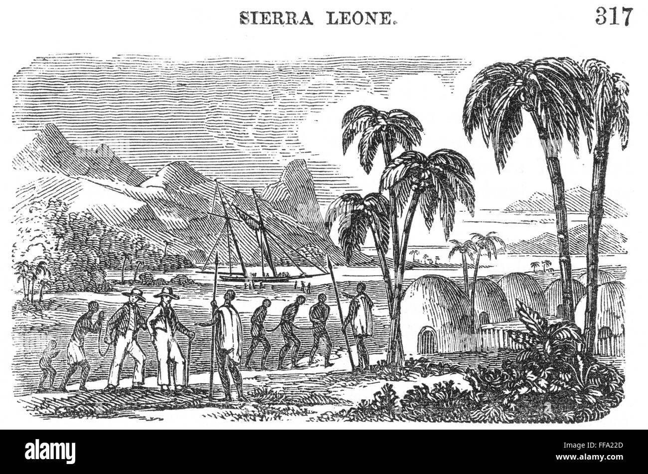 SIERRA LEONE: SLAVE TRADE. /nSlave traders of Sierra Leone. Wood ...