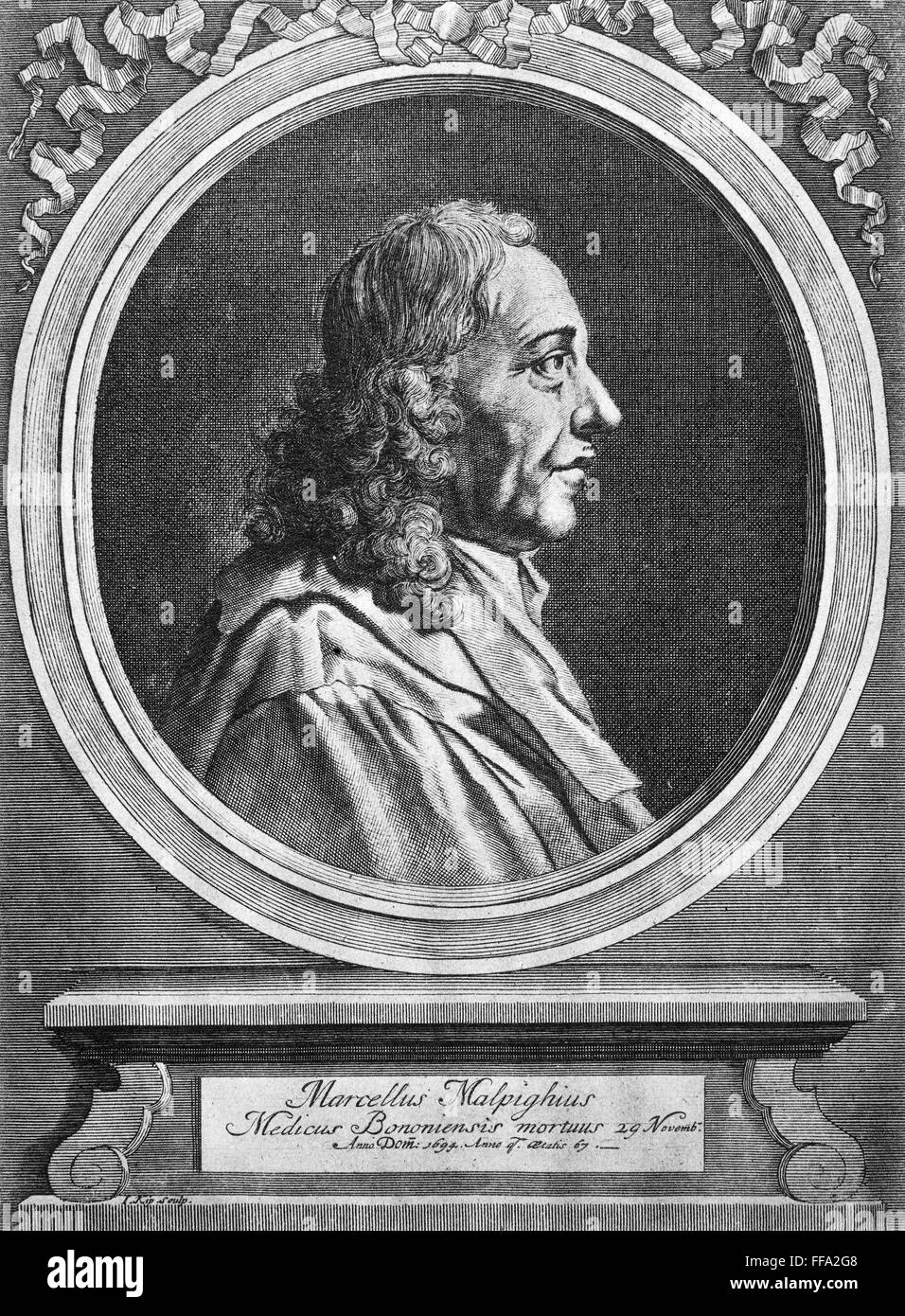 MARCELLO MALPIGHI /n(1628-1694). Italian anatomist. Line engraving ...