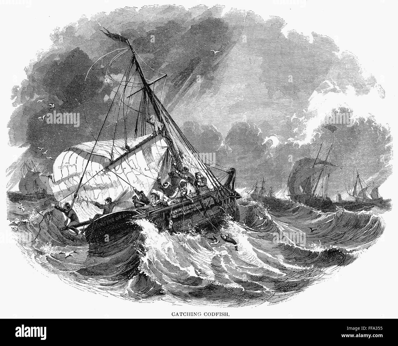 Grand banks cod fishing hi-res stock photography and images - Alamy