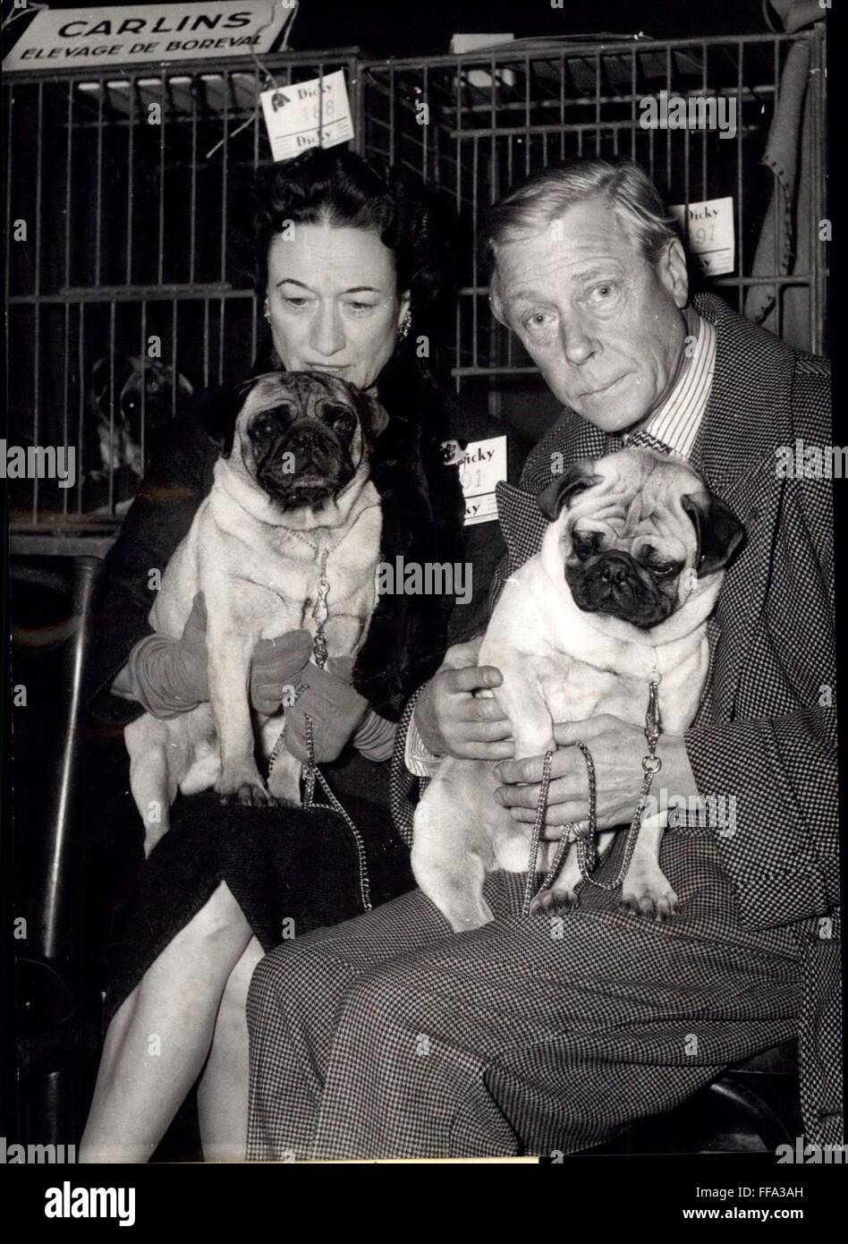 1956 - The Duke of Windsor King Edward VIII - Windsor dogs prize ...