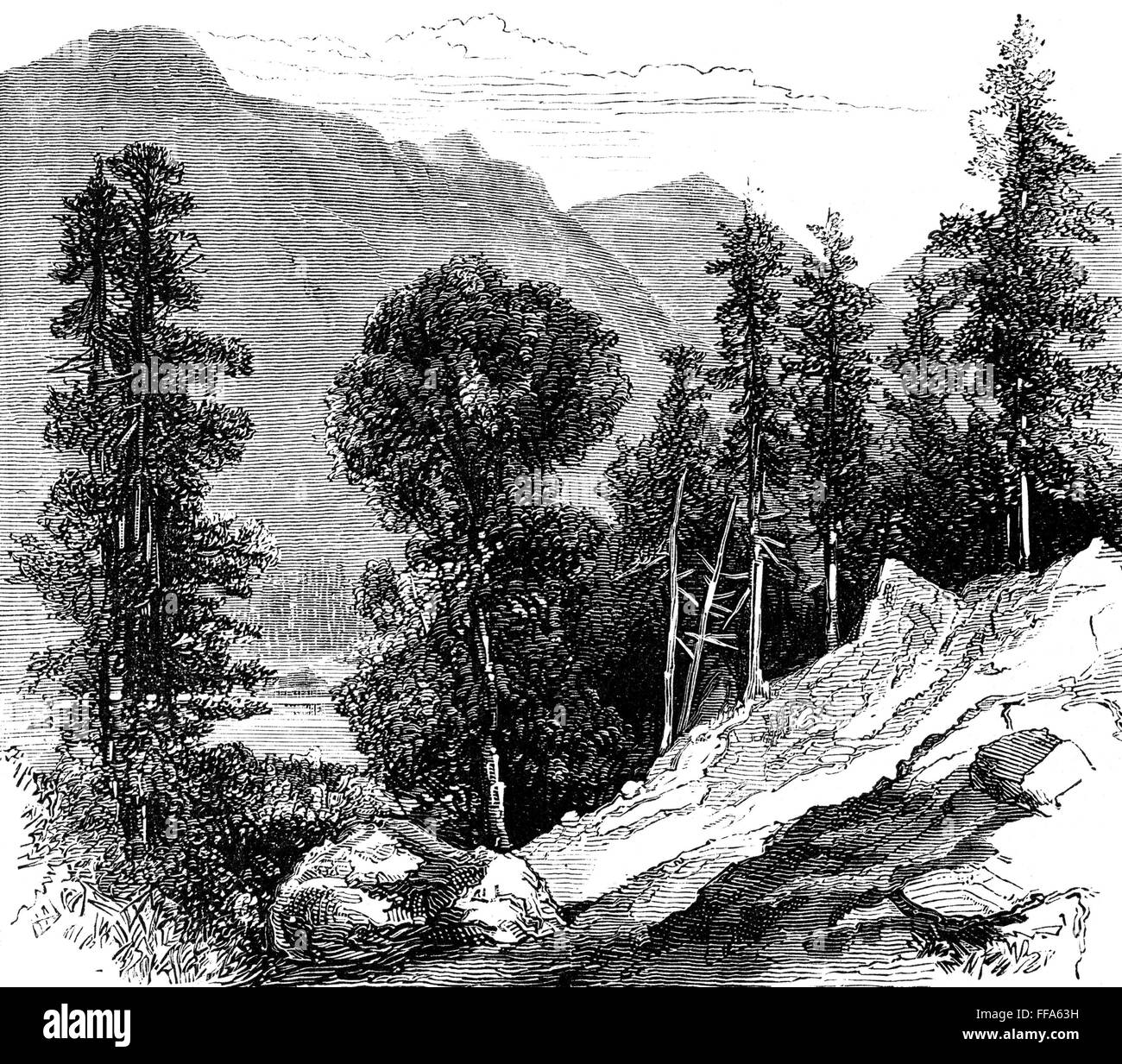 PACKER CRIME SCENE. /nThe site where Alfred Packer murdered and ...