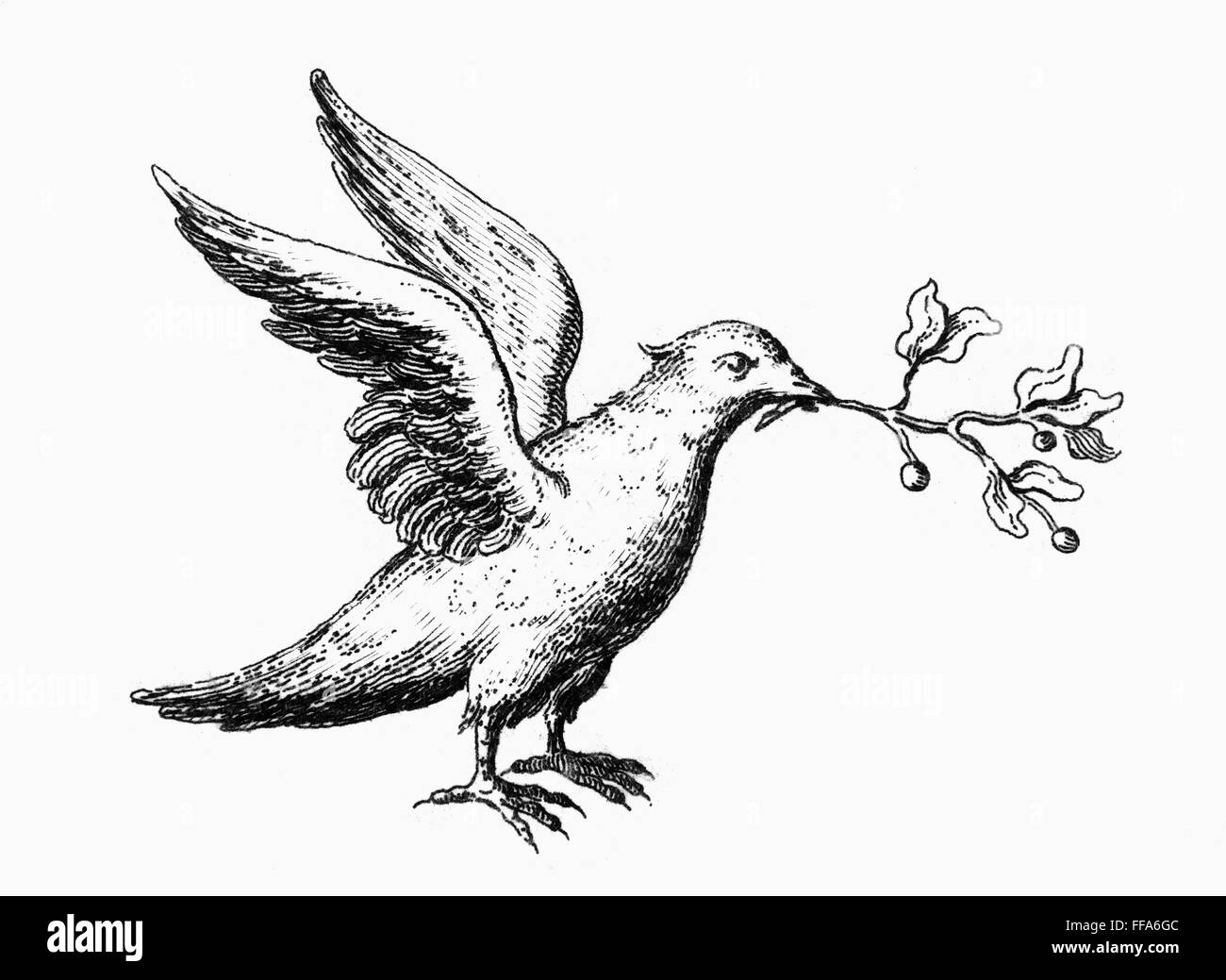 DOVE: NOAH'S ARK. /nDetail of the dove from an 18th century French ...