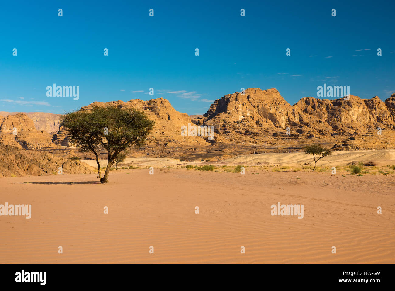 Sinai desert landscape Stock Photo - Alamy
