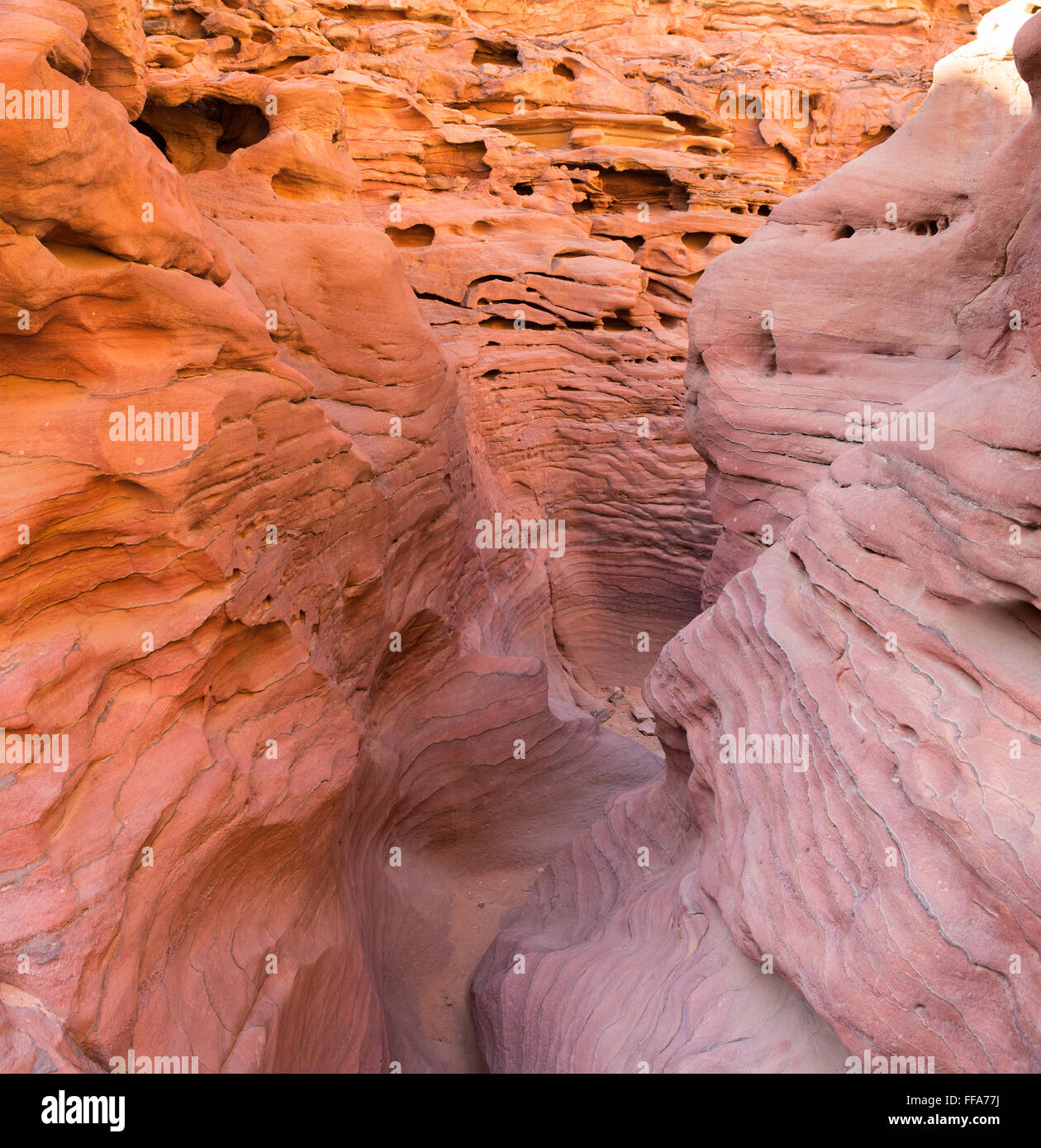 Red Colored Canyon Sinai Peninsula, Egypt Stock Photo - Alamy