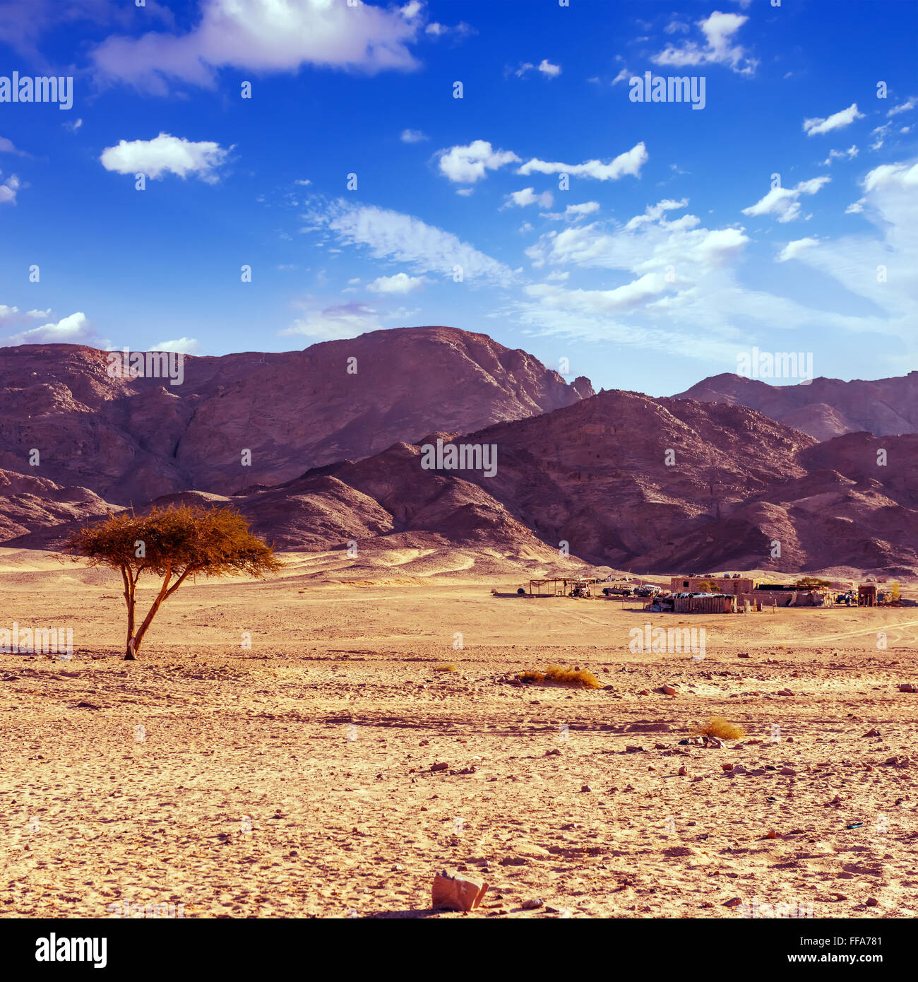 Sinai desert landscape Stock Photo - Alamy