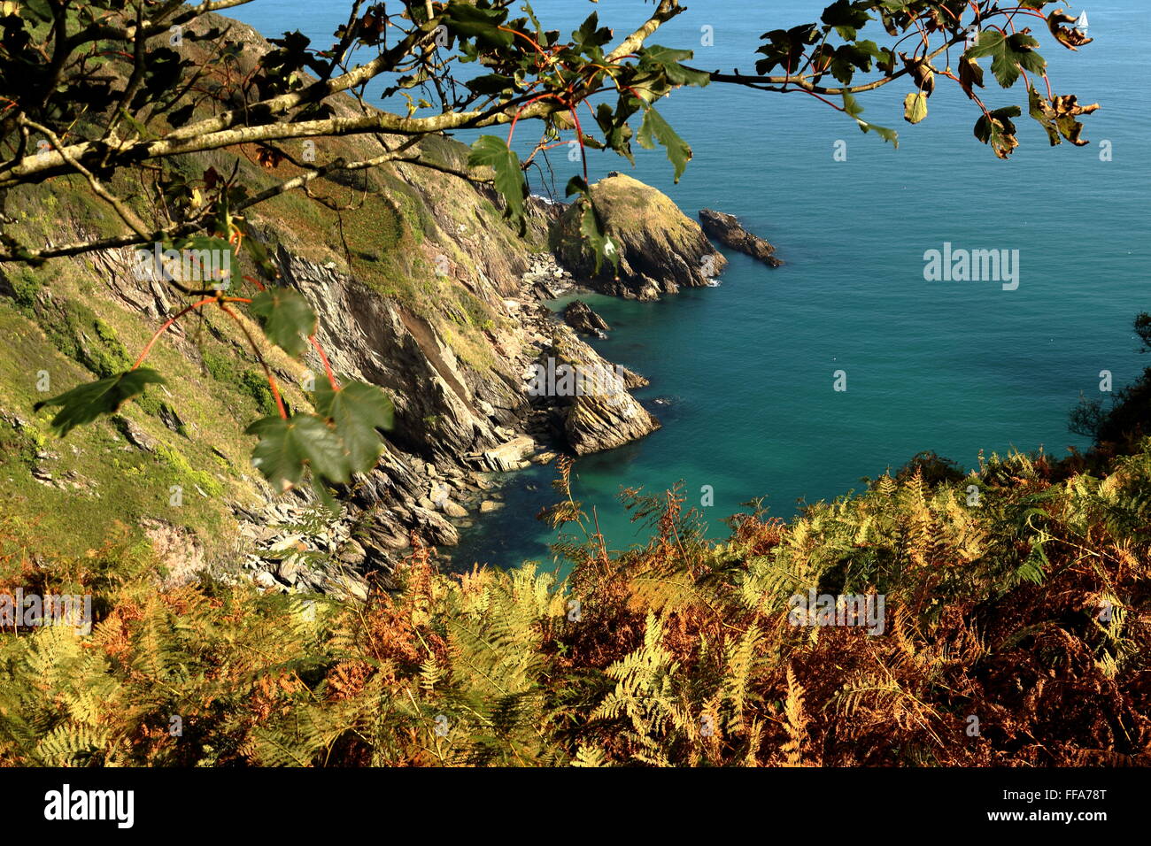 Coastal Views, part of the South West Coast Path, National Trust, Devon ...