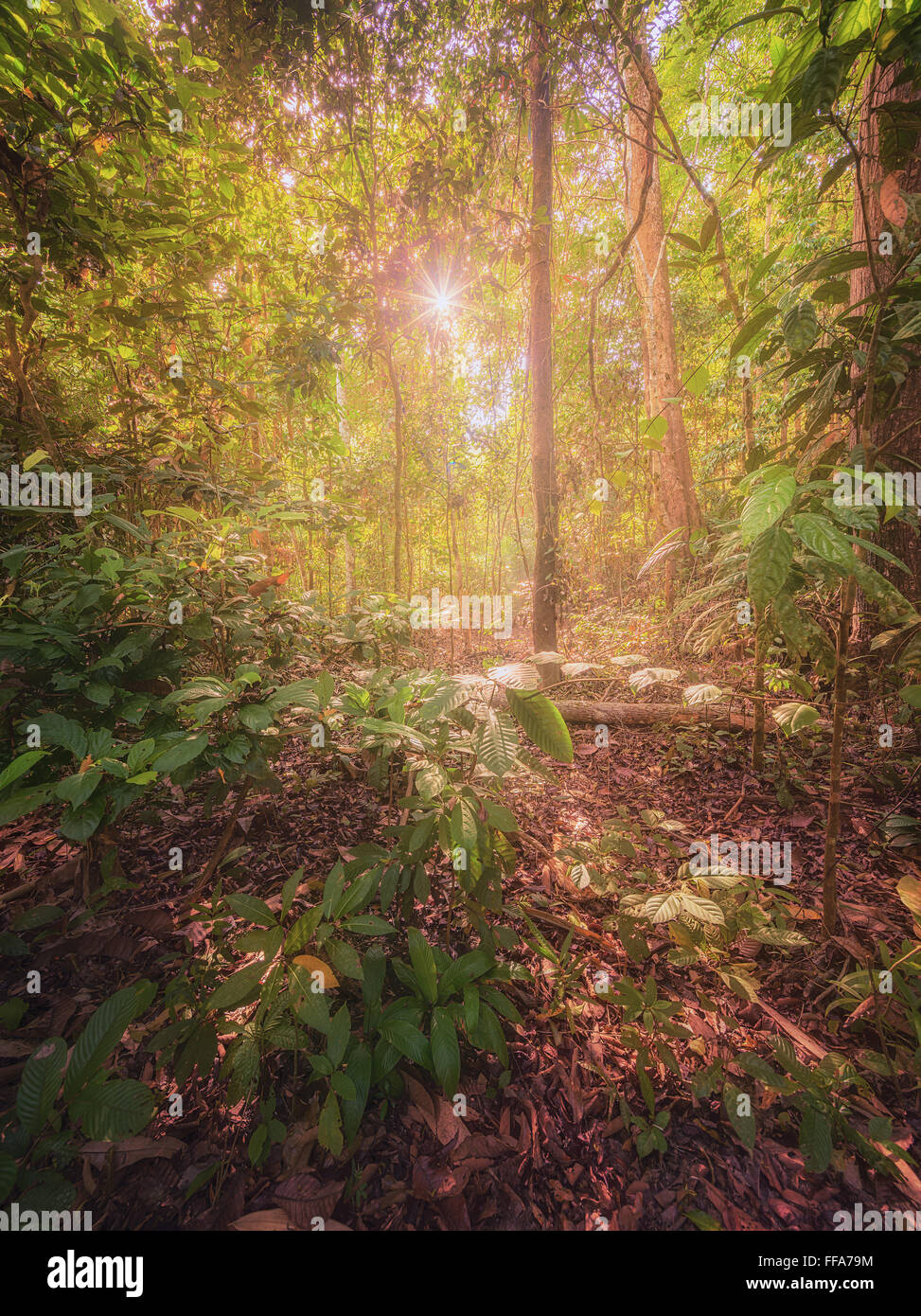 Beautiful landscape of mountain at sunset, Chiang Mai,Thailand Stock ...