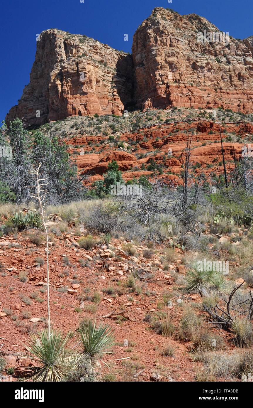 Red Rock Country, Sedona, Arizona Stock Photo - Alamy