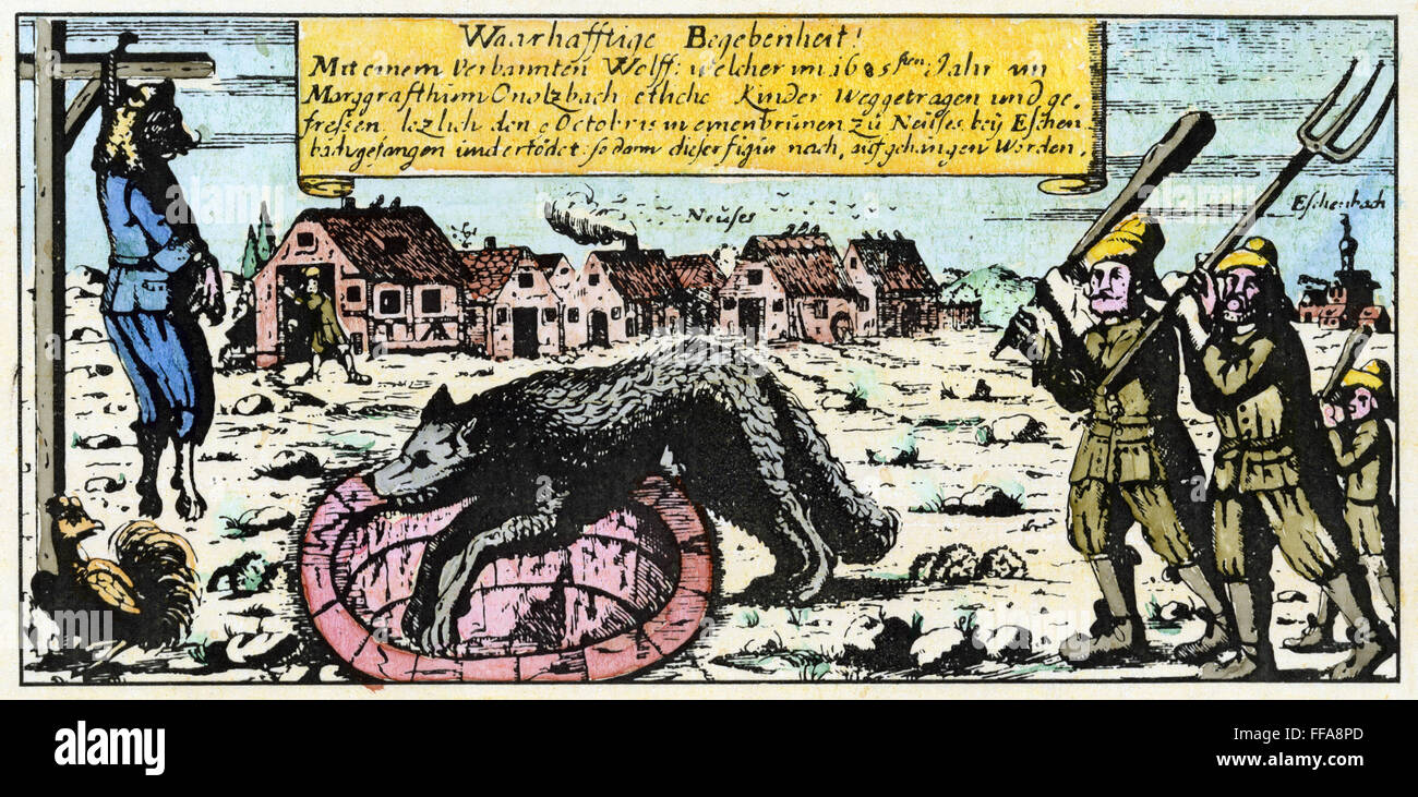 WEREWOLF, 1685. /nThe werewolf of Eschenbach, Germany, trapped in a ...