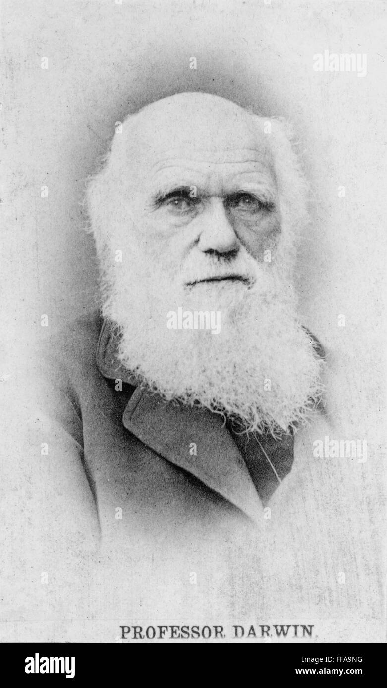 CHARLES DARWIN (1809-1882). /nEnglish naturalist. Original carte-de ...