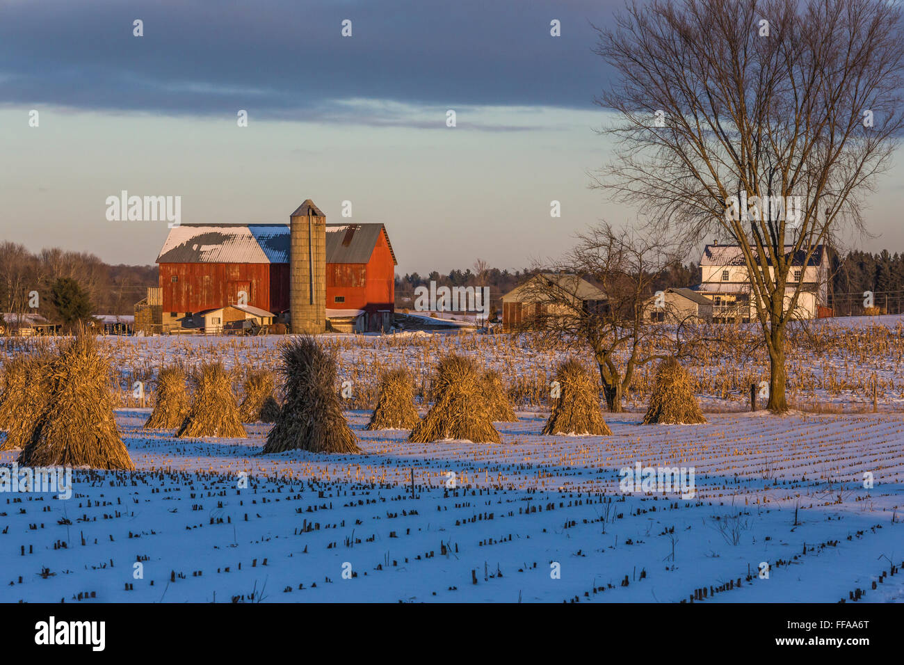 Corn Shocks High Resolution Stock Photography and Images - Alamy