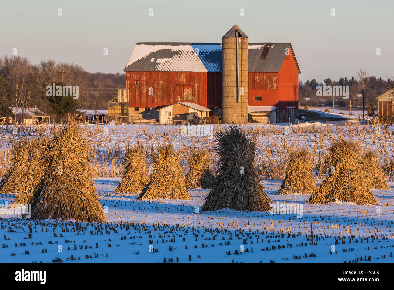 Michigan cornfield hi-res stock photography and images - Alamy