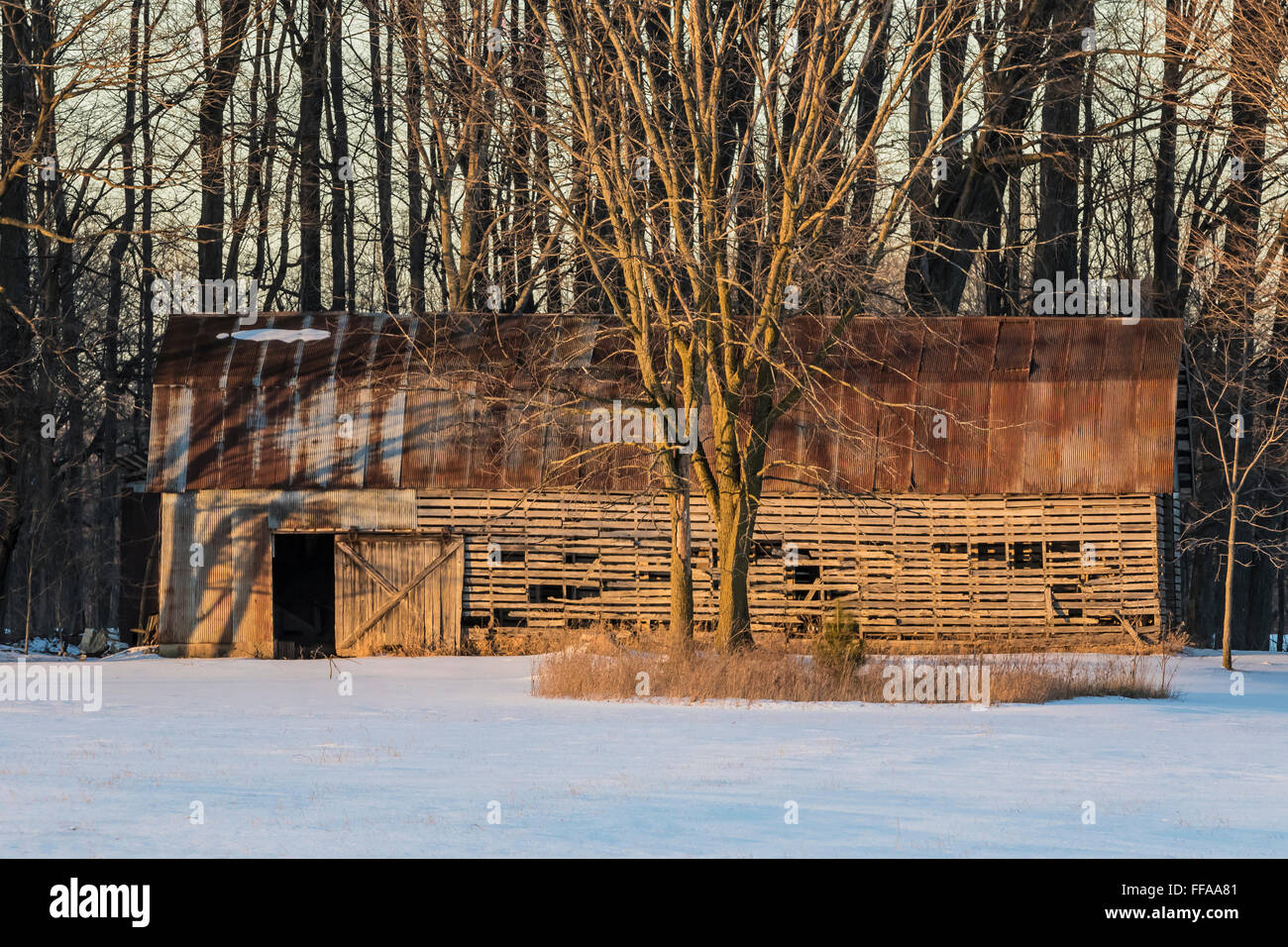Old and weathered wooden barn in winter in central Michigan near ...