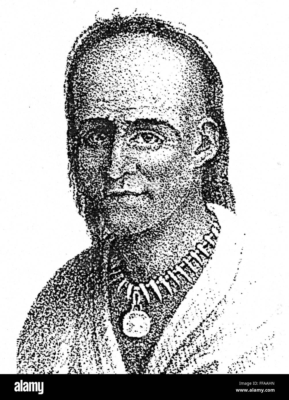 Chief little turtle hi-res stock photography and images - Alamy