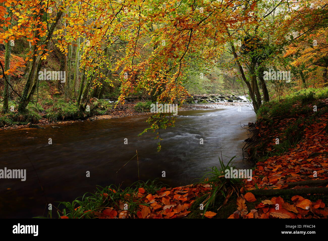 17th Century Stone arch Fingle Bridge crossing the River Teign near ...