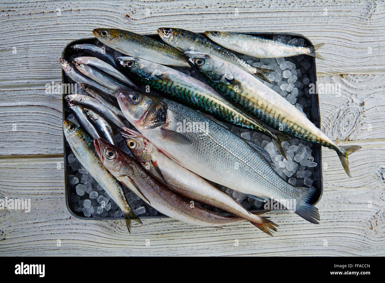 Fresh fishes mix hake seabass sardine mackerel anchovies Stock Photo ...