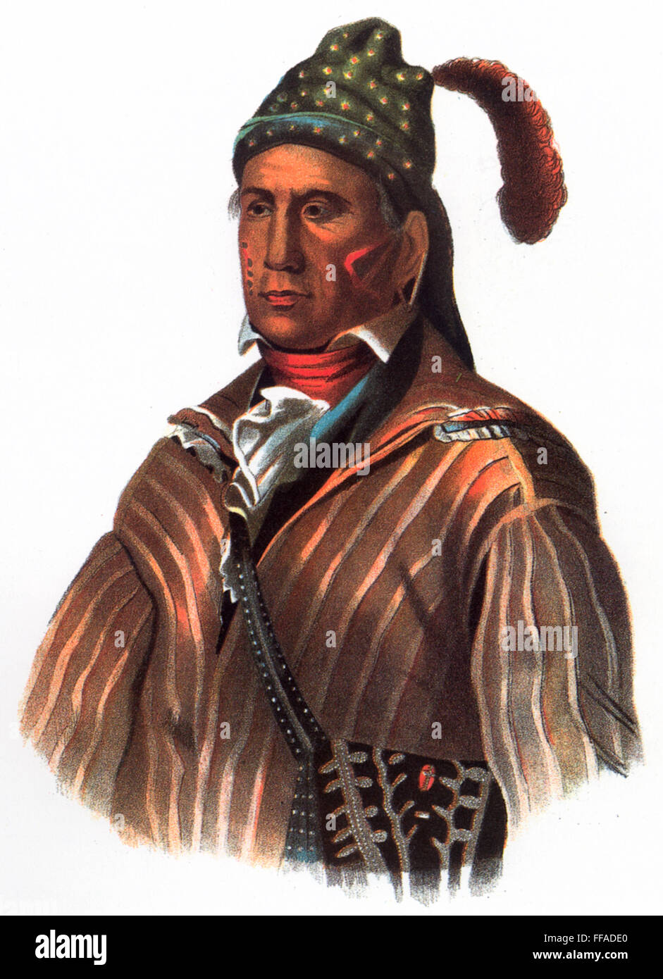 American bird painting hi-res stock photography and images - Alamy