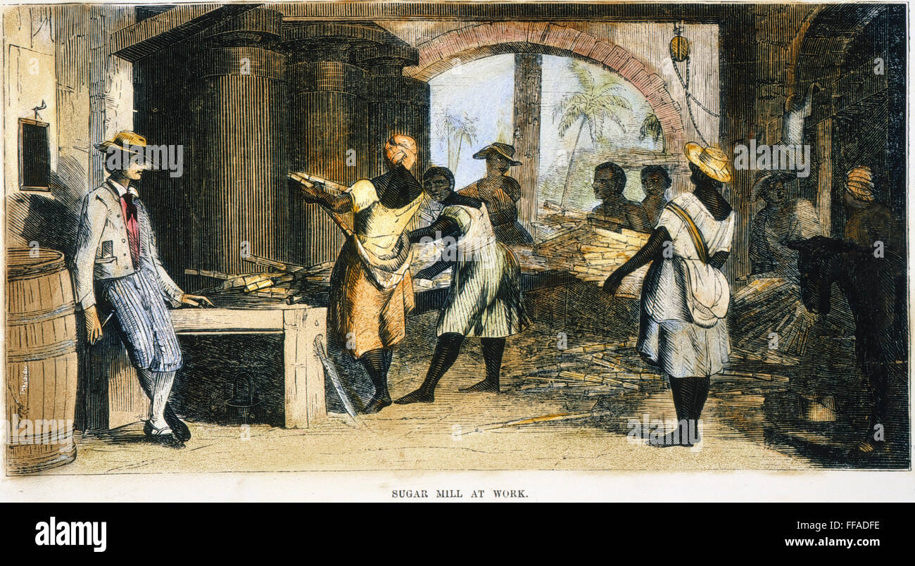 SLAVERY: WEST INDIES./nSlaves on a West Indian island bringing harvested sugar cane to the ...