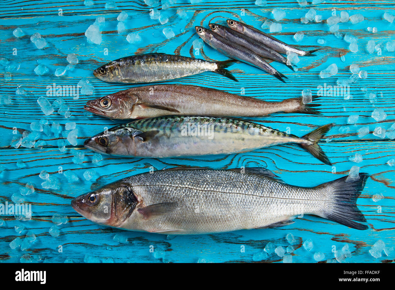 Fresh fishes mix hake seabass sardine mackerel anchovies Stock Photo ...