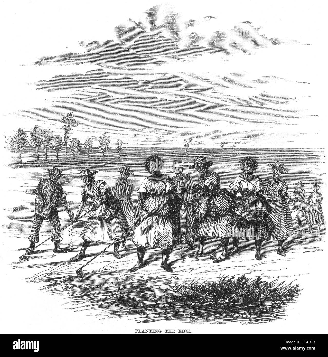 SLAVERY: RICE PLANTATION. /nPlanting the rice on a rice plantation in ...