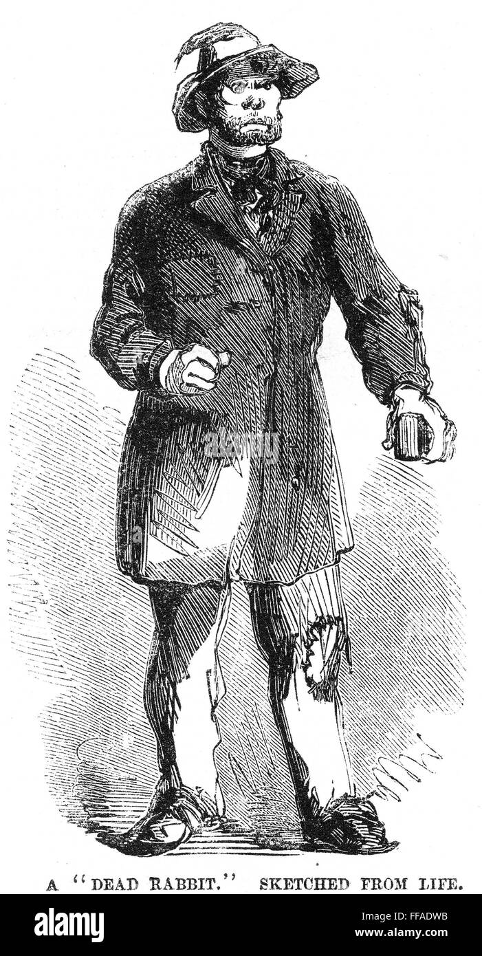 Dead rabbits new york hi-res stock photography and images - Alamy