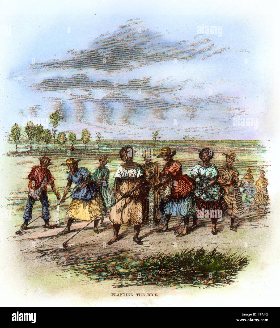 SLAVERY: RICE PLANTATION. /nPlanting the rice on a rice plantation in ...