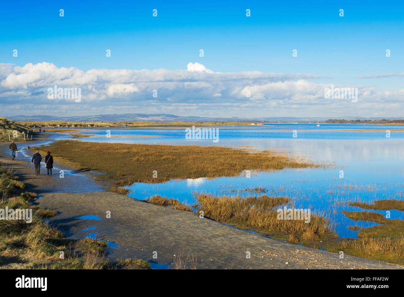 The eastern shoreline of East Head on a bright winter afternoon, West ...