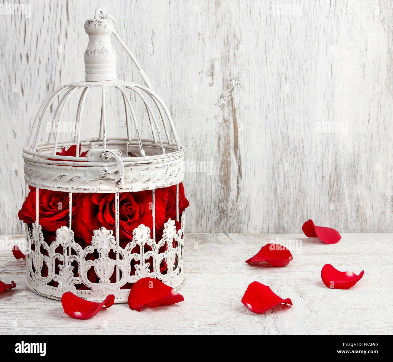 Roses in vintage bird cage Stock Photo - Alamy