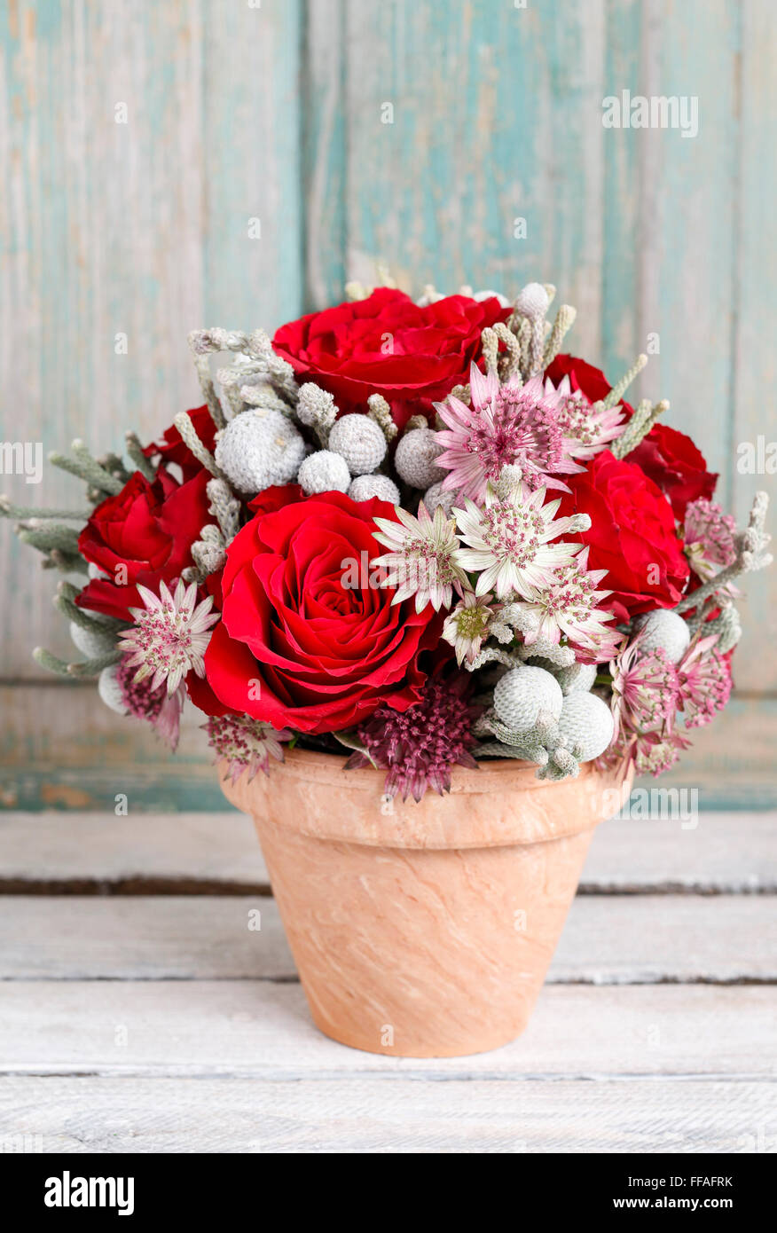 Red roses in ceramic pot hi-res stock photography and images - Alamy