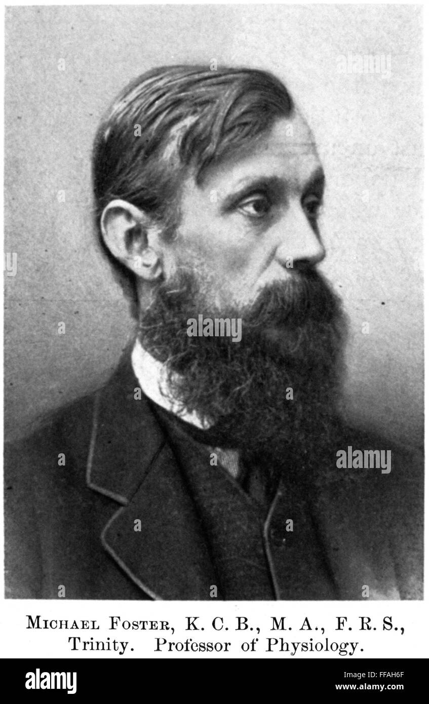 MICHAEL FOSTER (1836-1907). /nEnglish physiologist Stock Photo - Alamy