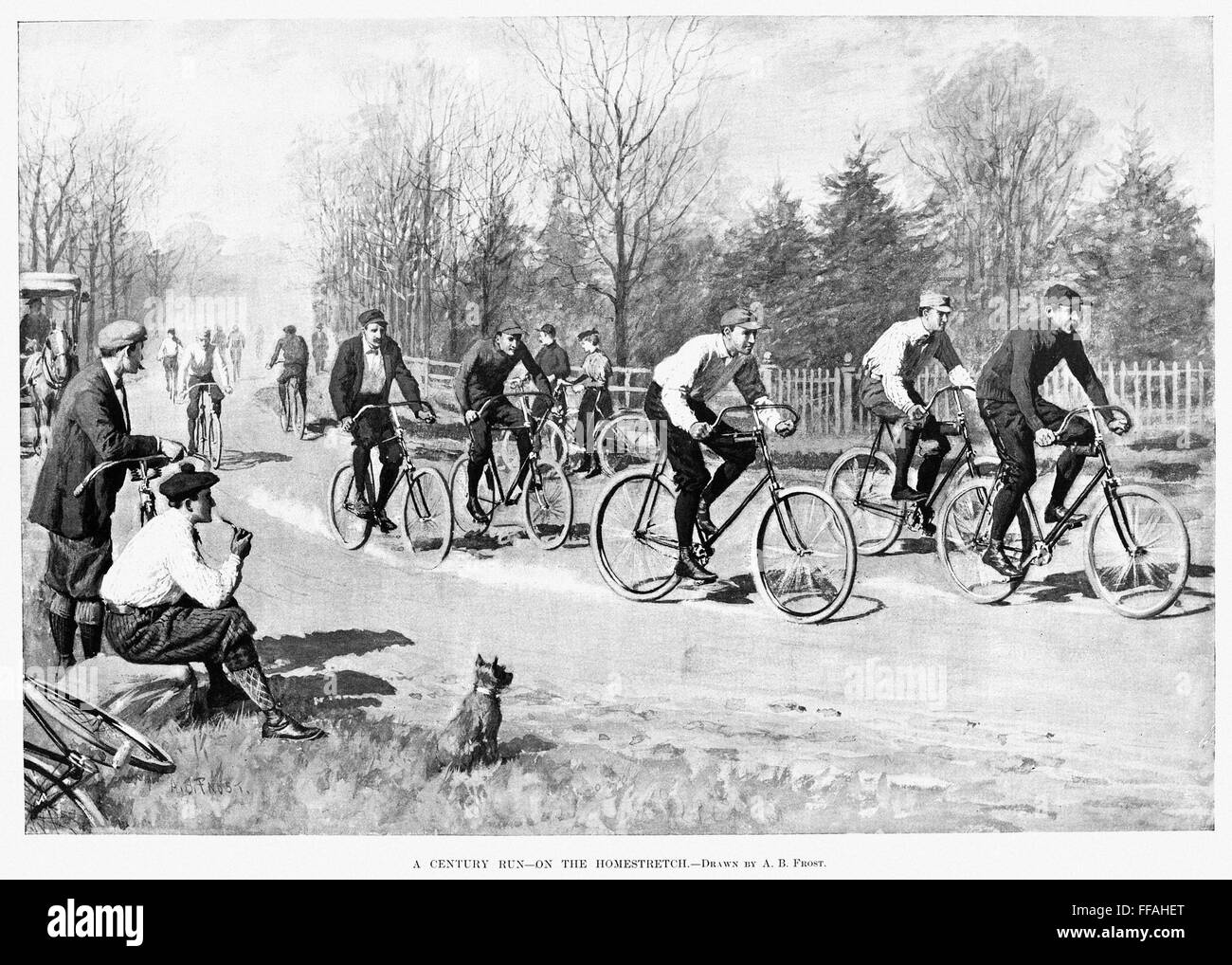 BICYCLE RACE, 1896. /n'A Century Run - On the Homestretch ...