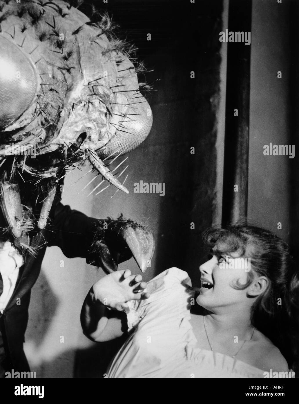 FILM: THE FLY, 1958. /nFilm still from 'The Fly,' 1958 Stock Photo - Alamy